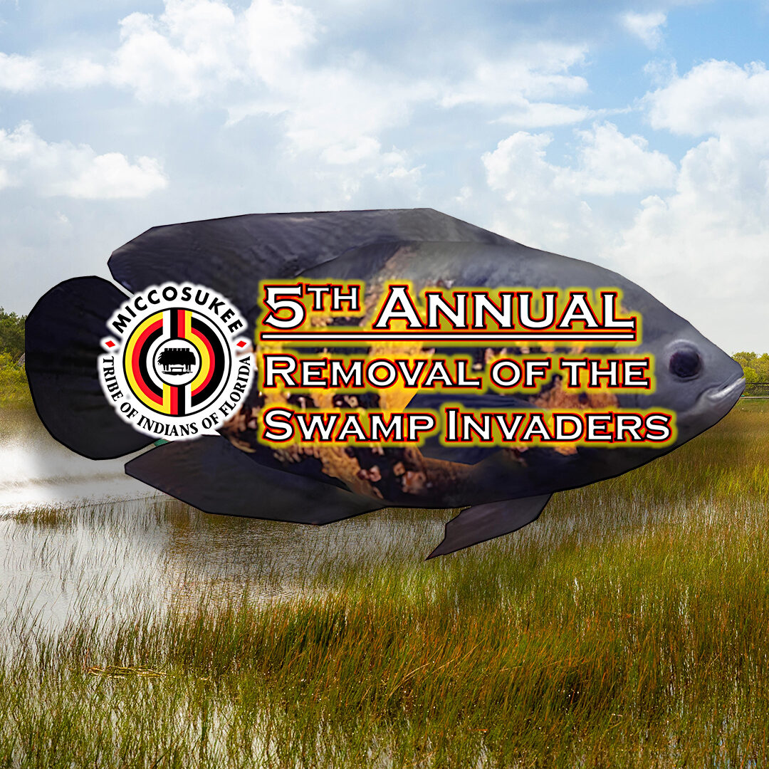 News - Miccosukee Casino & Resort